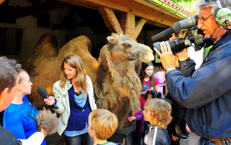 Presenteren | Suzanne Spliethoff